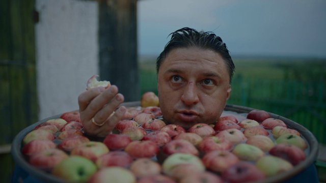 Какое приложение разрабатывали в сериале жуки