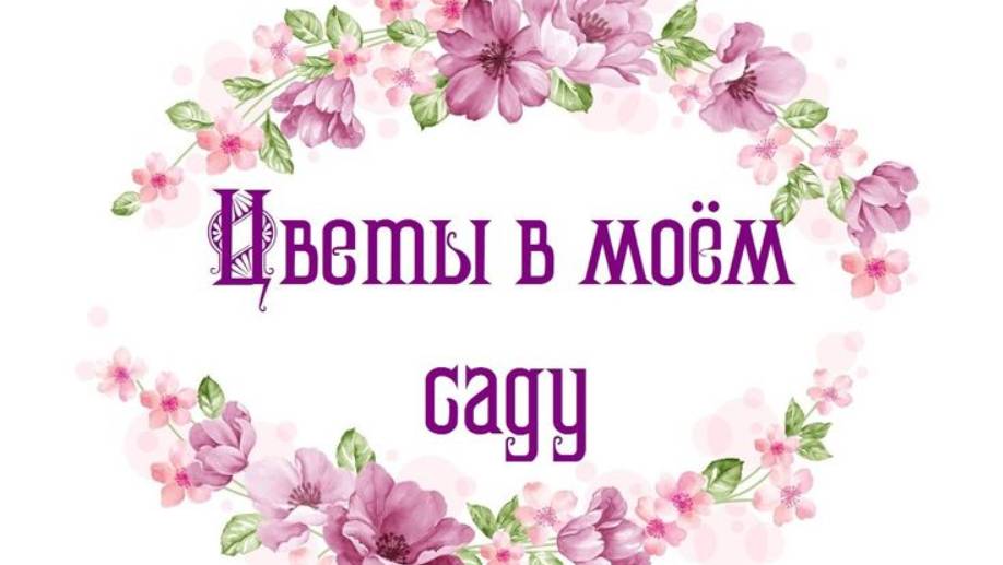 ...Цветы в моём саду...