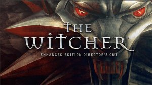 The Witcher Enhanced Edition Director′s Cut