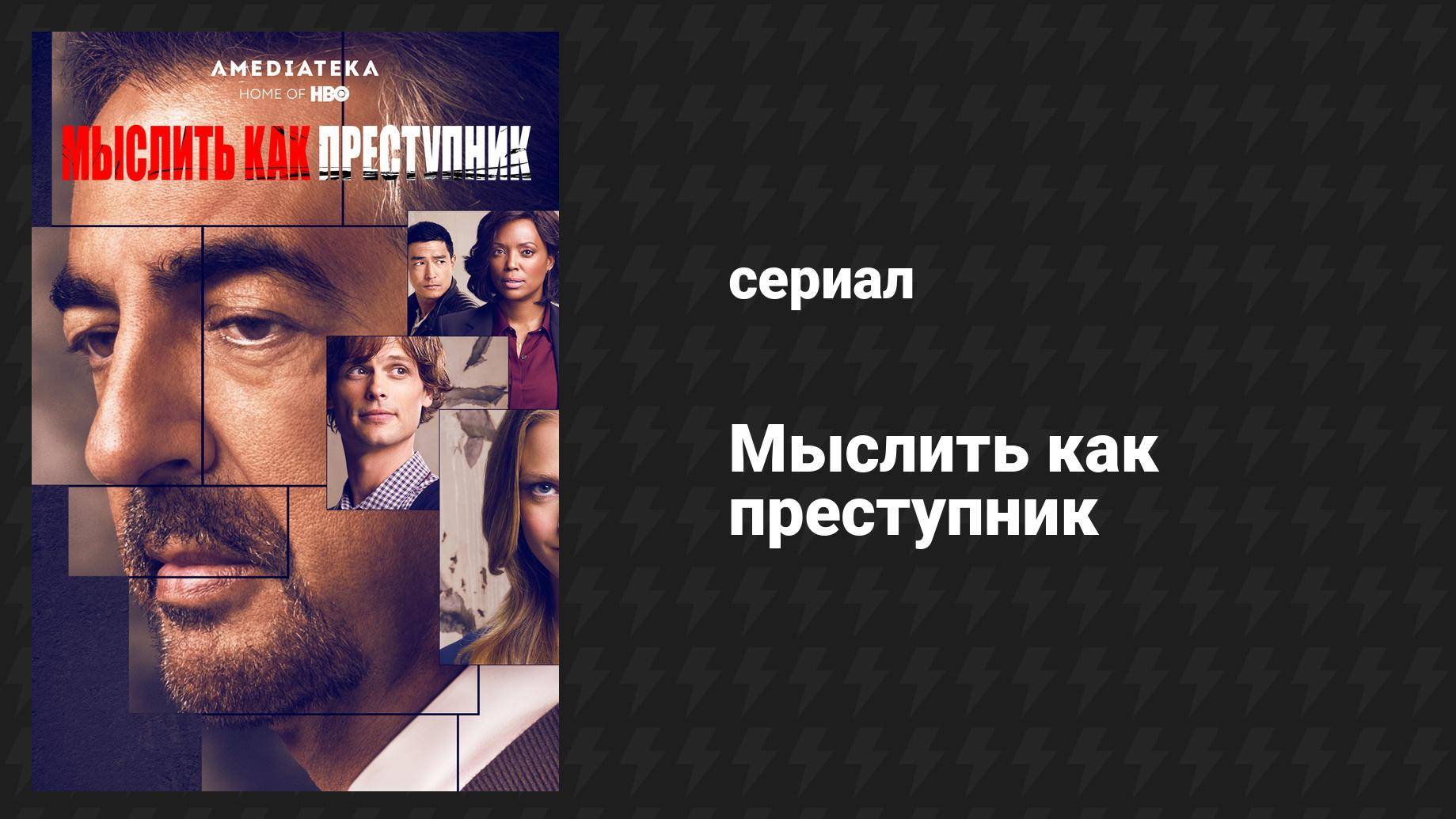 Мыслить как преступник (сериал, 2005-2020)