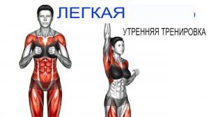 Утренняя тренировка.