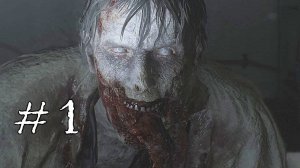 Resident Evil 2 Remake + DLC прохождение с русской озвучкой