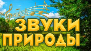 Звуки природы