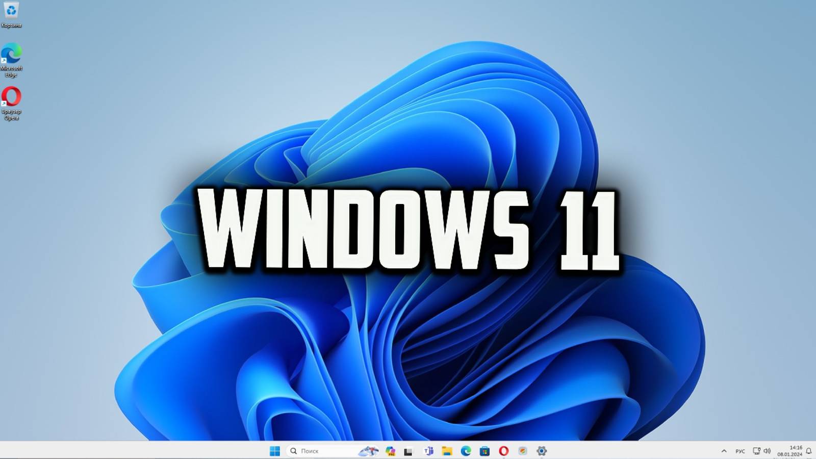 Windows 11