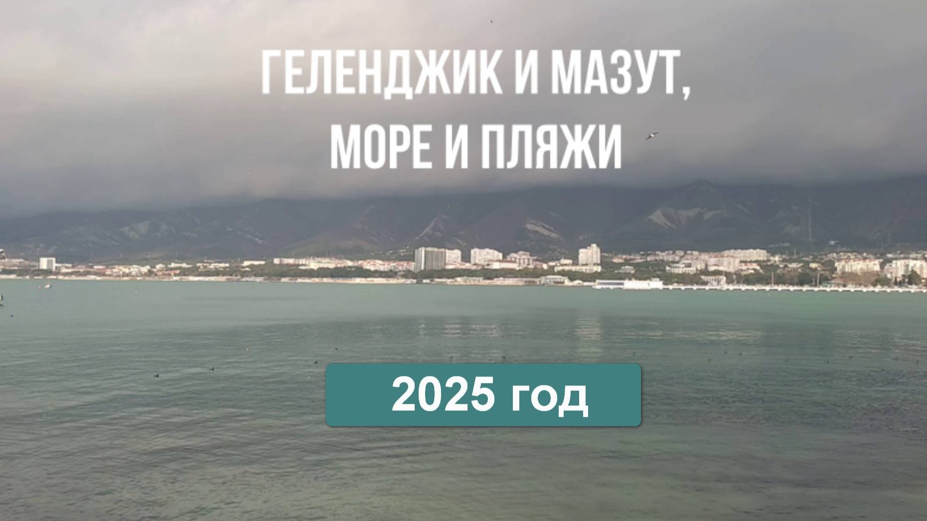 Геленджик и мазут, 2025 год