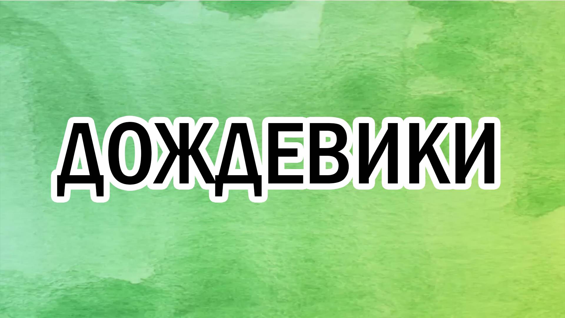 ДОЖДЕВИКИ