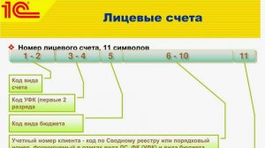 Казначейские и лицевые счета