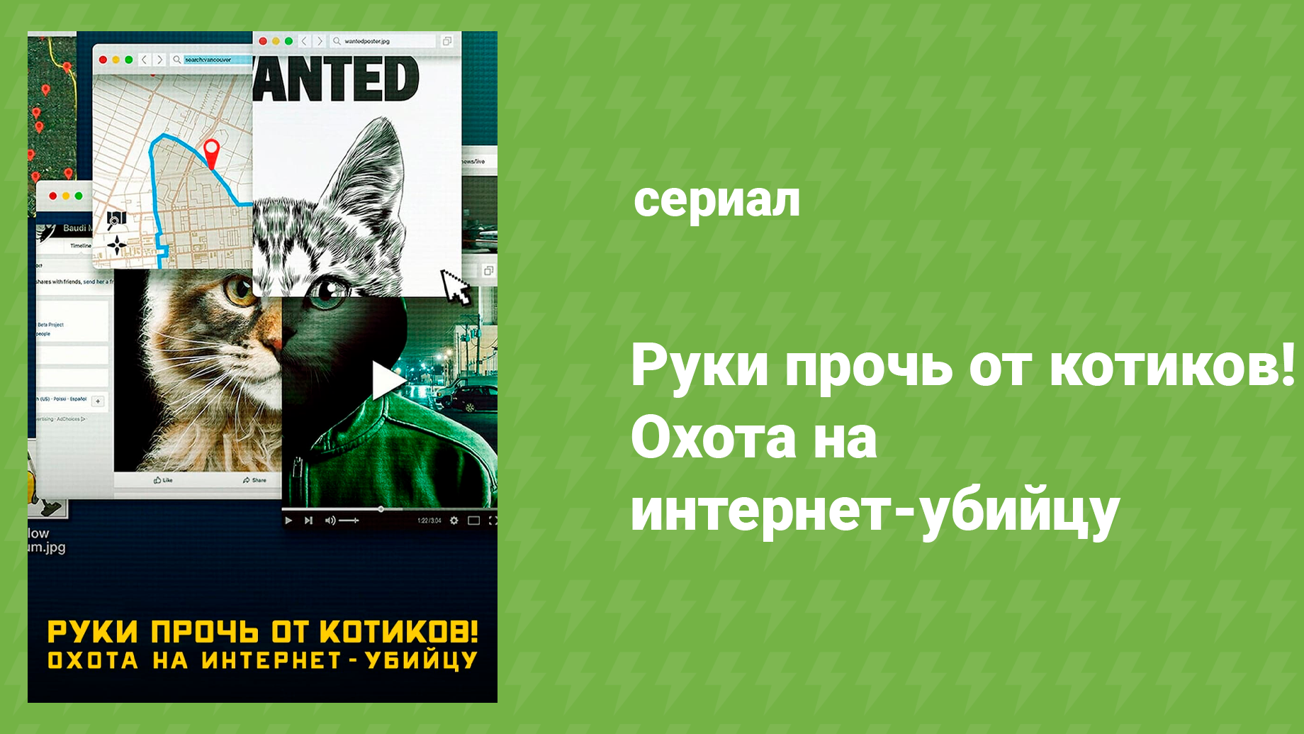 Руки прочь от котиков! Охота на интернет-убийцу (документальный сериал, 2019)