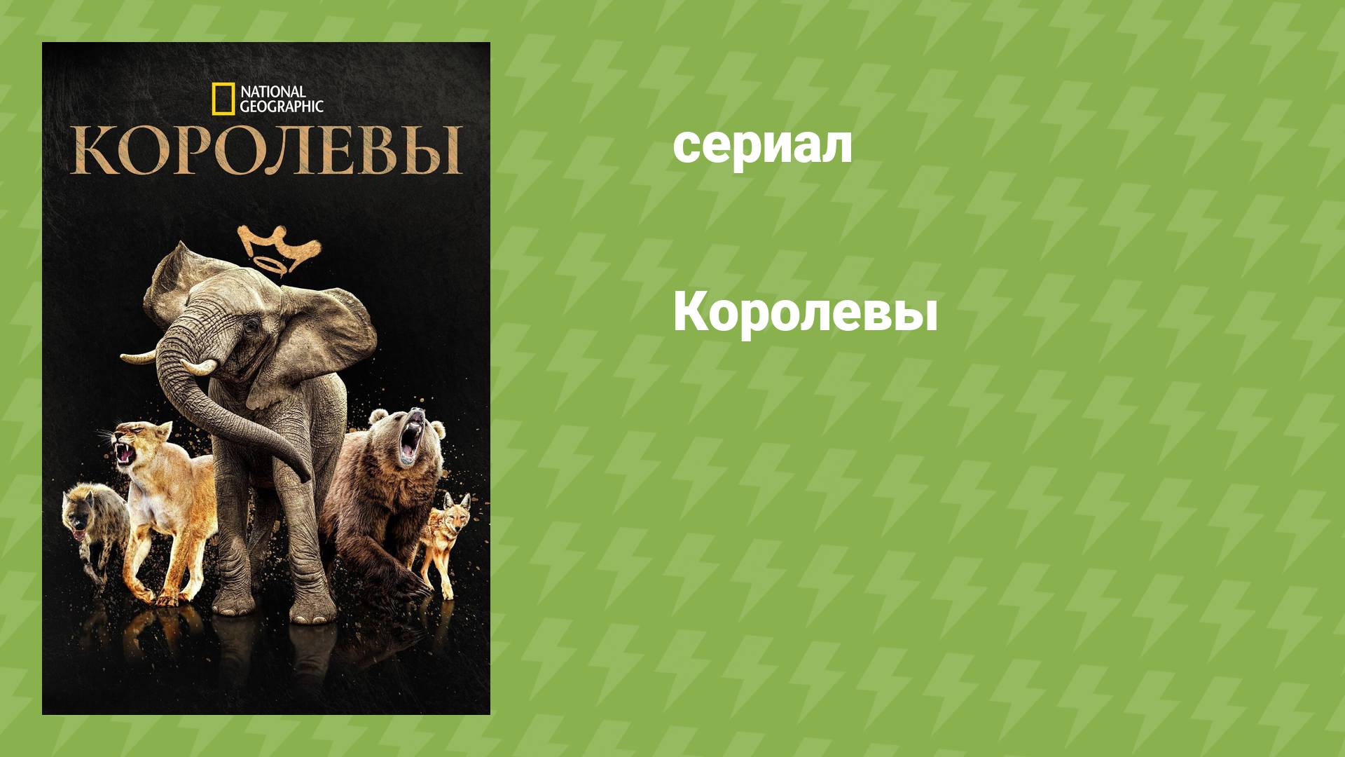 Королевы (документальный сериал, 2024)