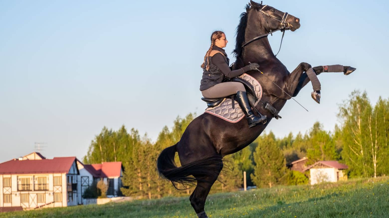Все мы немного лошади