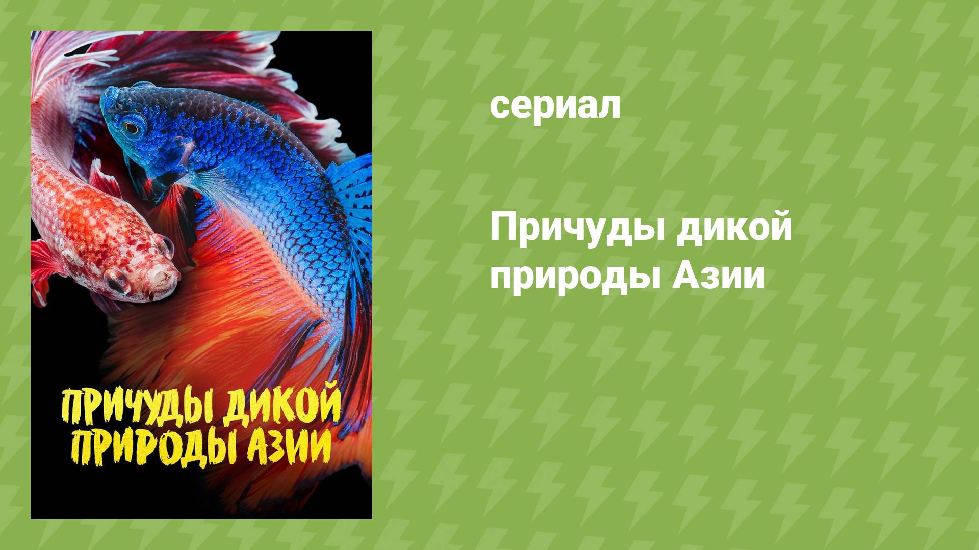 Причуды дикой природы Азии (документальный сериал, 2021)