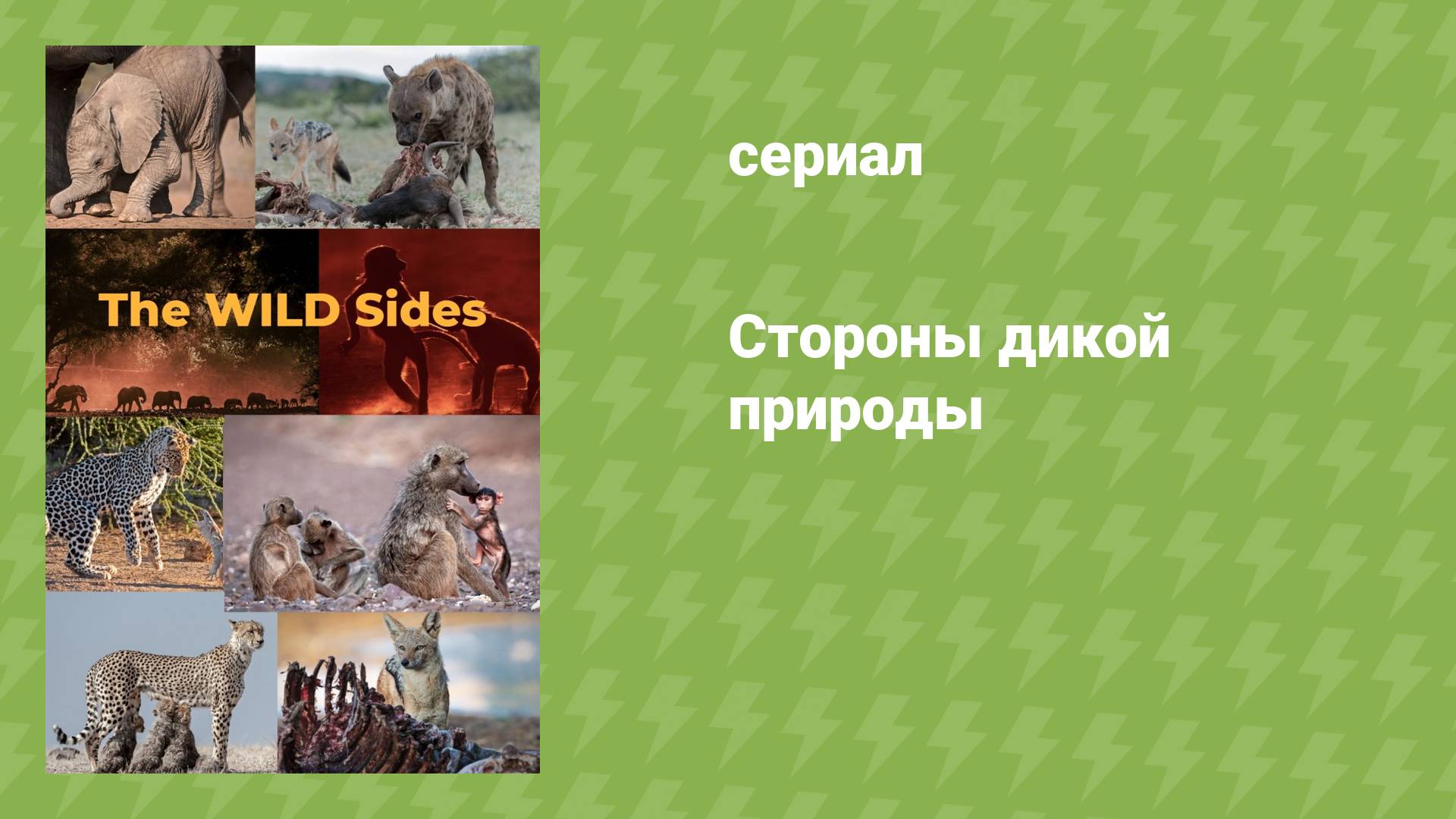 Стороны дикой природы (документальный сериал, 2023)