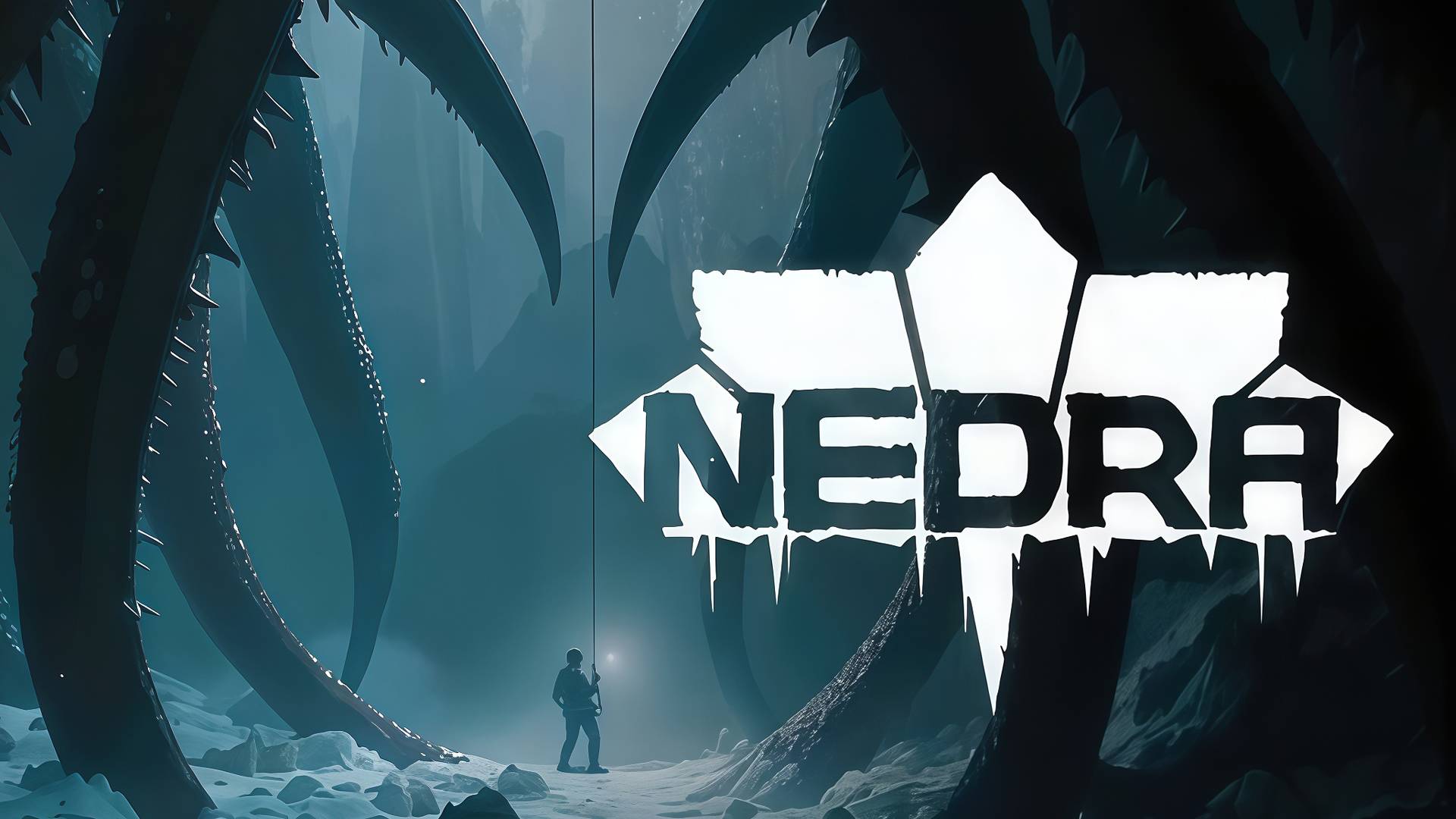 NEDRA
