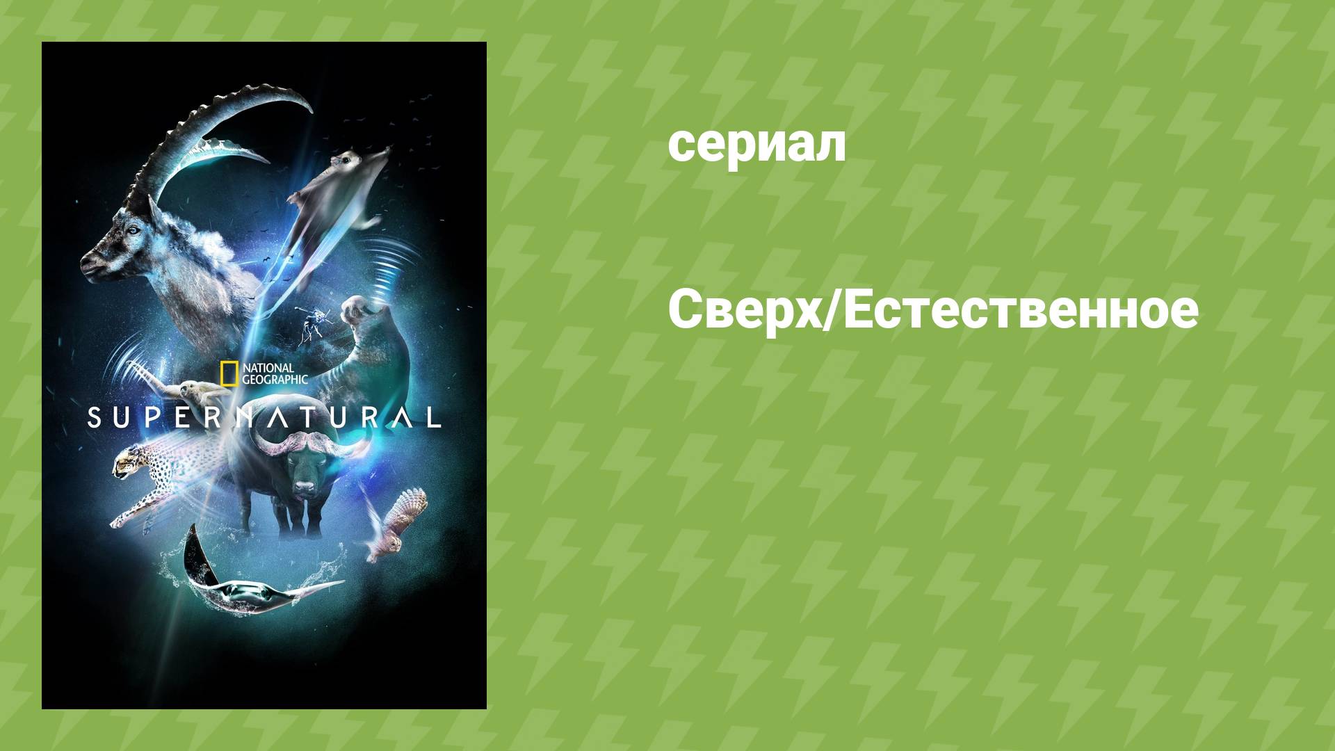Сверх/Естественное (документальный сериал, 2022)