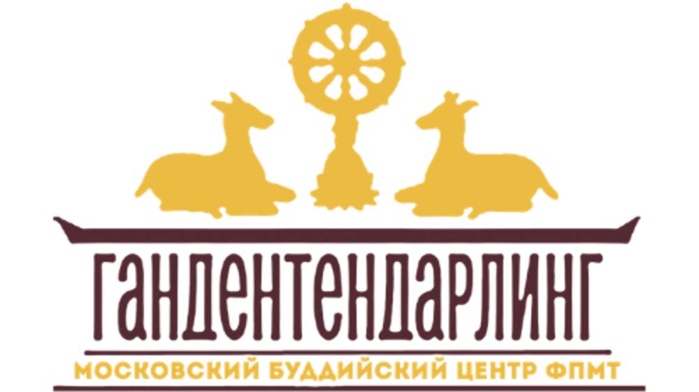 Из жизни учеников и волонтеров центра