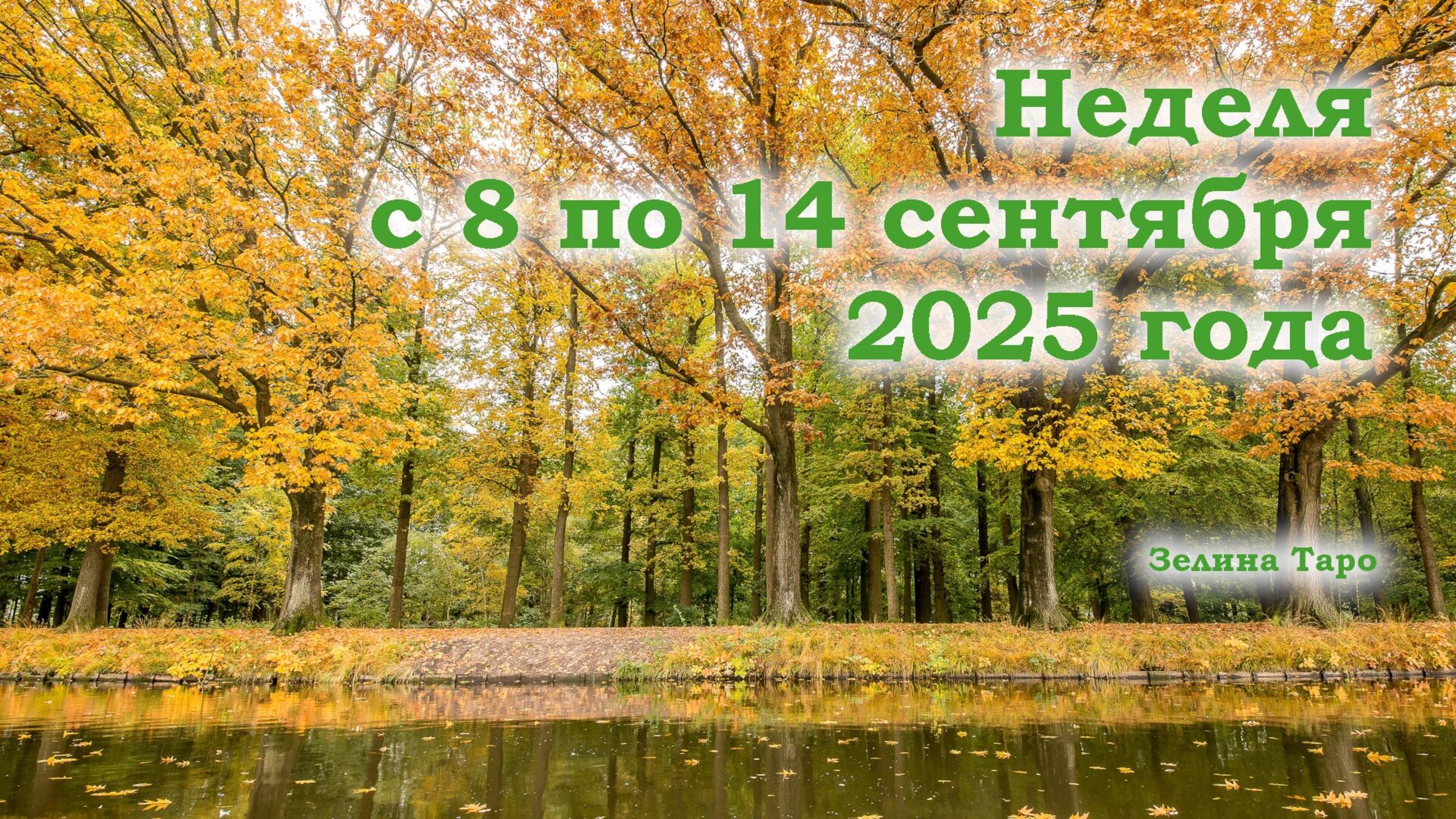 Неделя с 8 по 14 сентября 2025 года