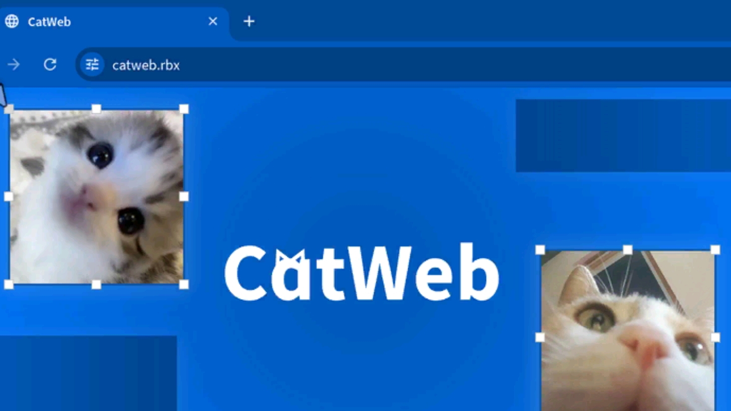 Roblox Catweb