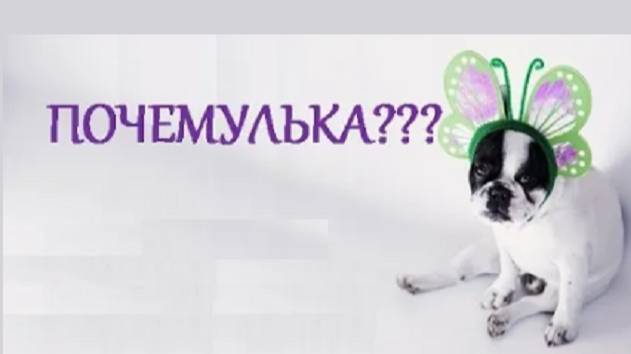 ПОЧЕМУЛЬКА??? СПЕЦТЕХНИКА. КОСМОС. ПОРОДЫ КОНЕЙ, КОШЕК, СОБАК. ВИДЫ ЦВЕТОВ. ПРОФЕССИИ