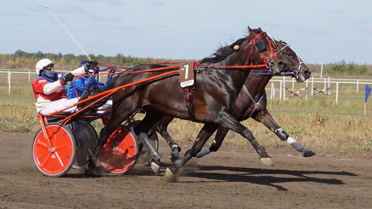 20250921 Закрытие Бегового сезона-2025 на Воронежском ипподроме