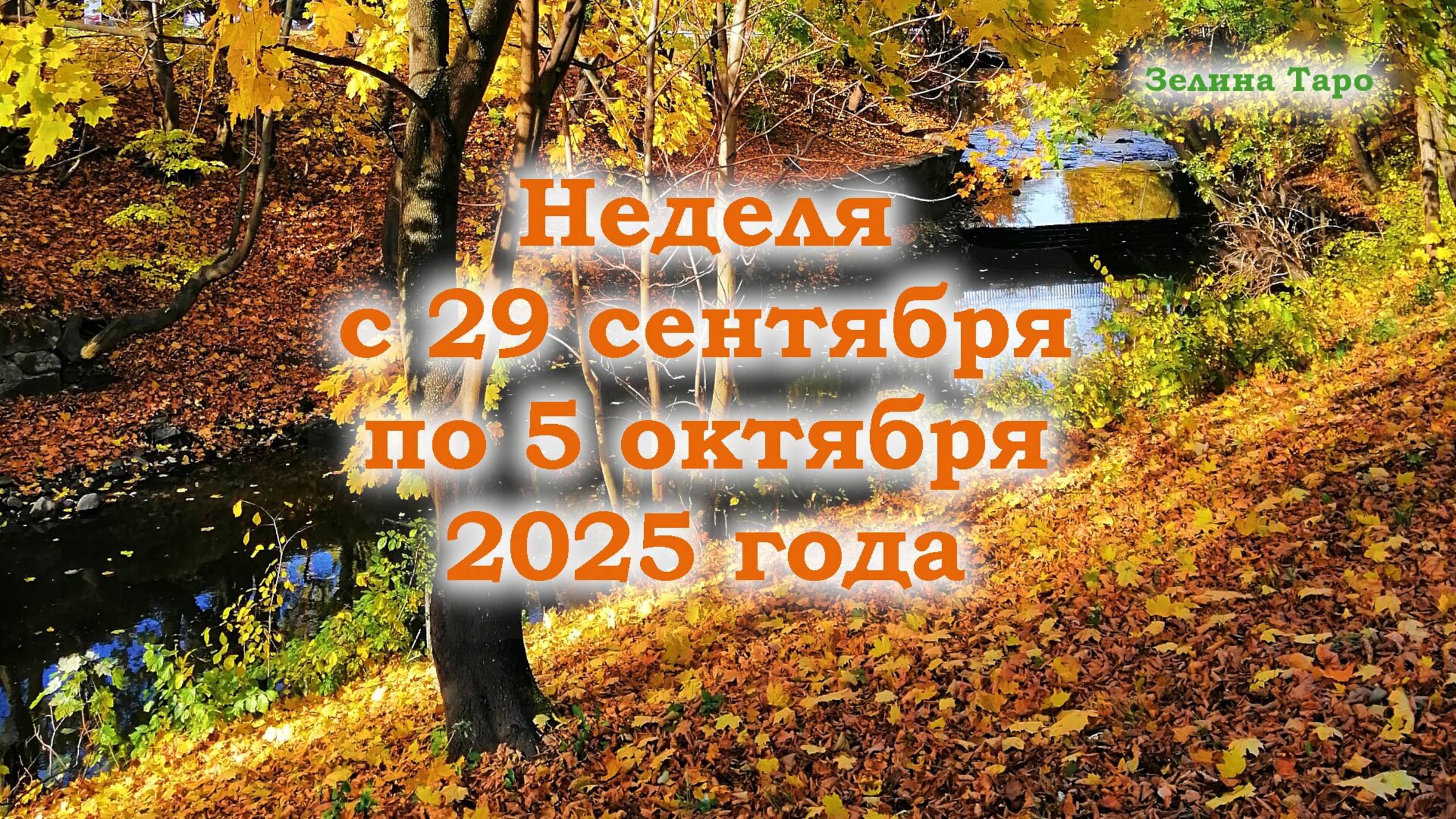 Неделя с 29 сентября по 5 октября 2025 года