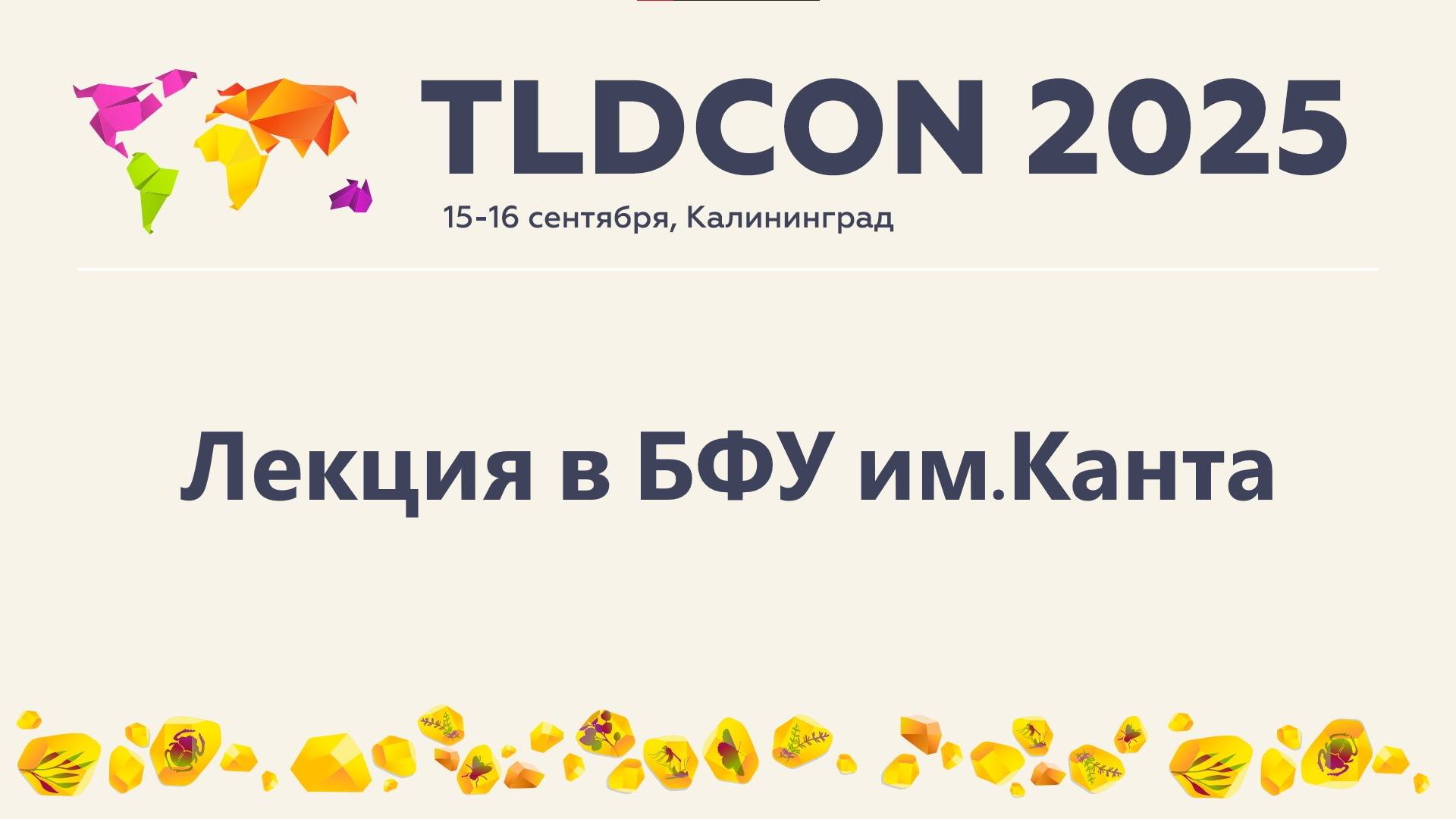 TLDCON 2025 Лекция в БФУ им. Канта