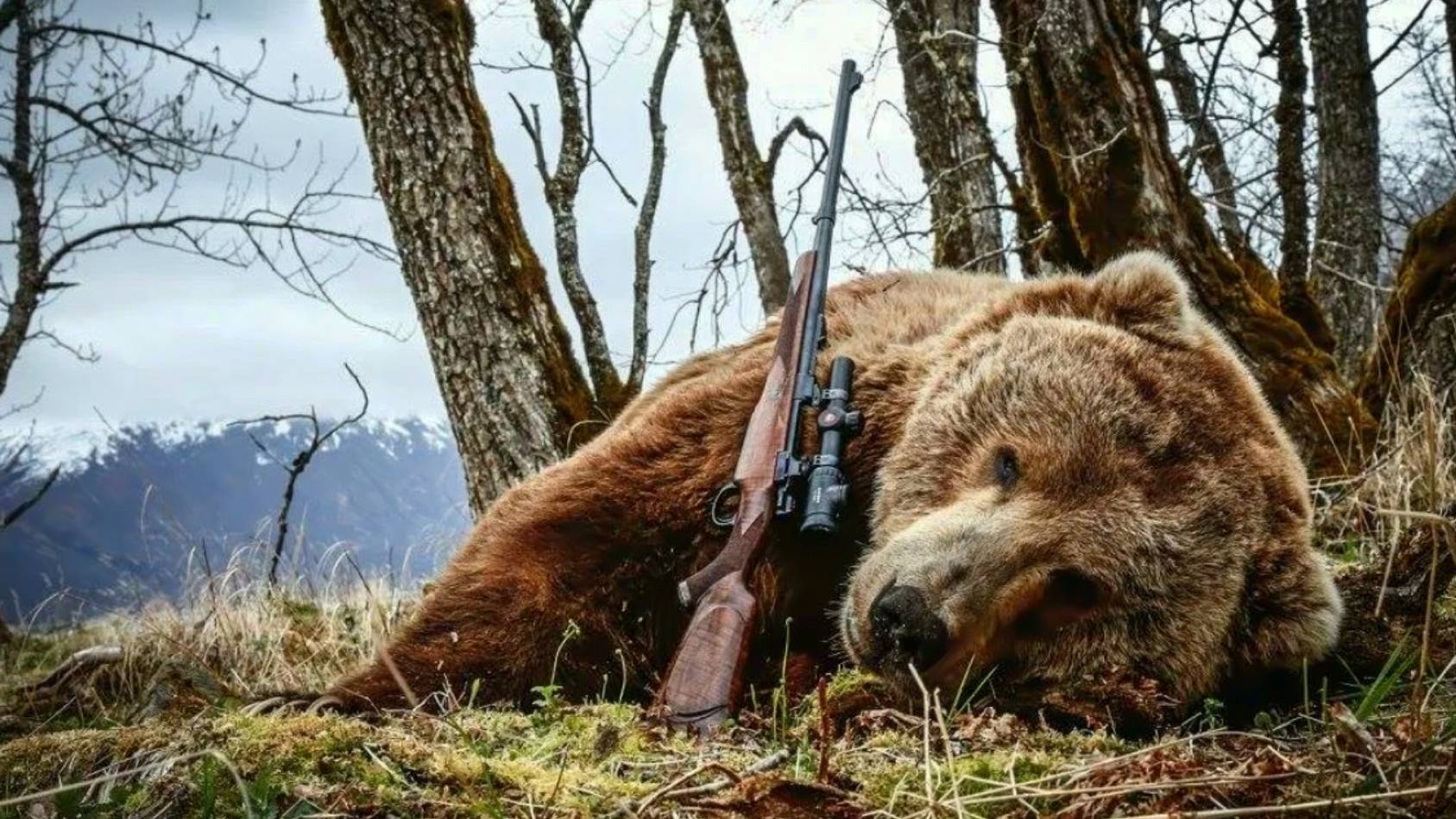 Охота Сериал