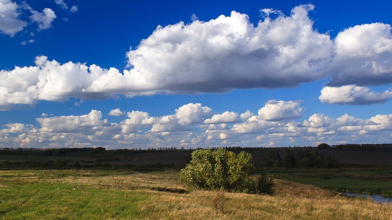 плейлист /_/_/﹤﹥адун