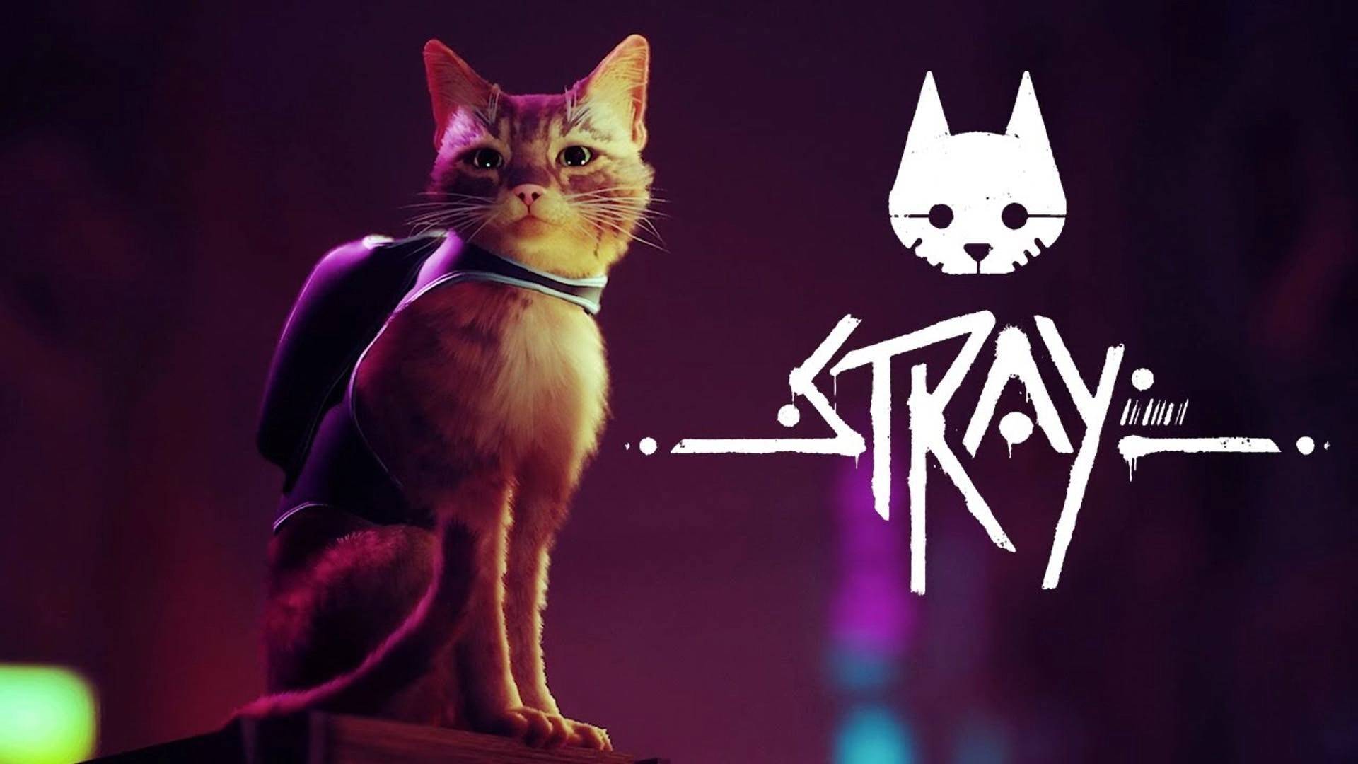″Stray″///русские субтитры