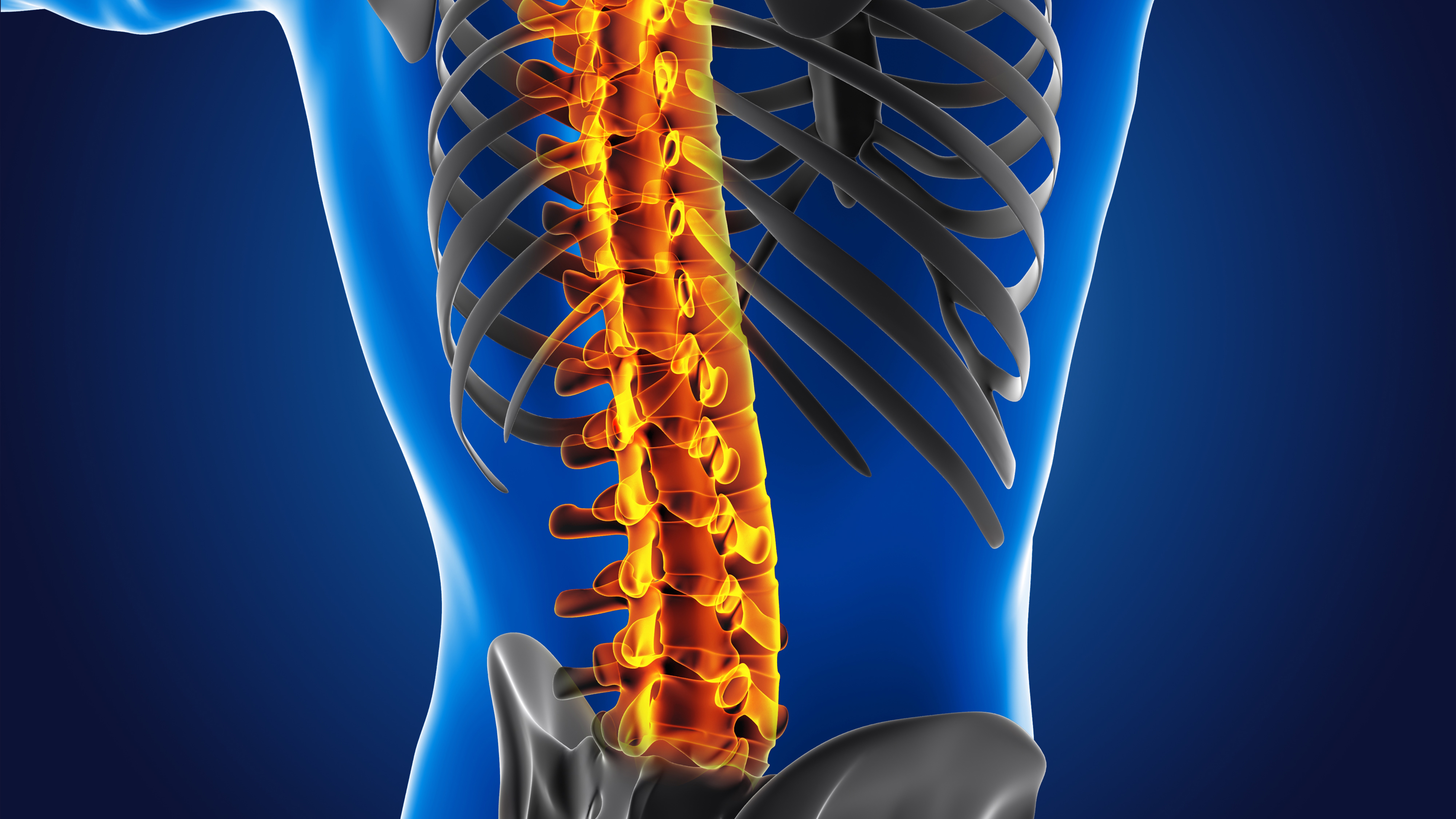 Реабилитация ПОЗВОНОЧНИК.