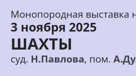 КЧК ШАХТЫ 3 ноября`25 Н.Павлова Моно немецких овчарок