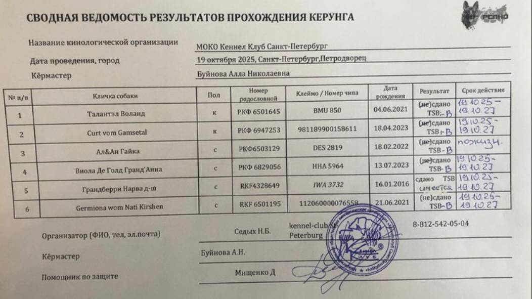 Кёрунг САНКТ-ПЕТЕРБУРГ 19 окт`25 (А.Буйнова) 6 собак