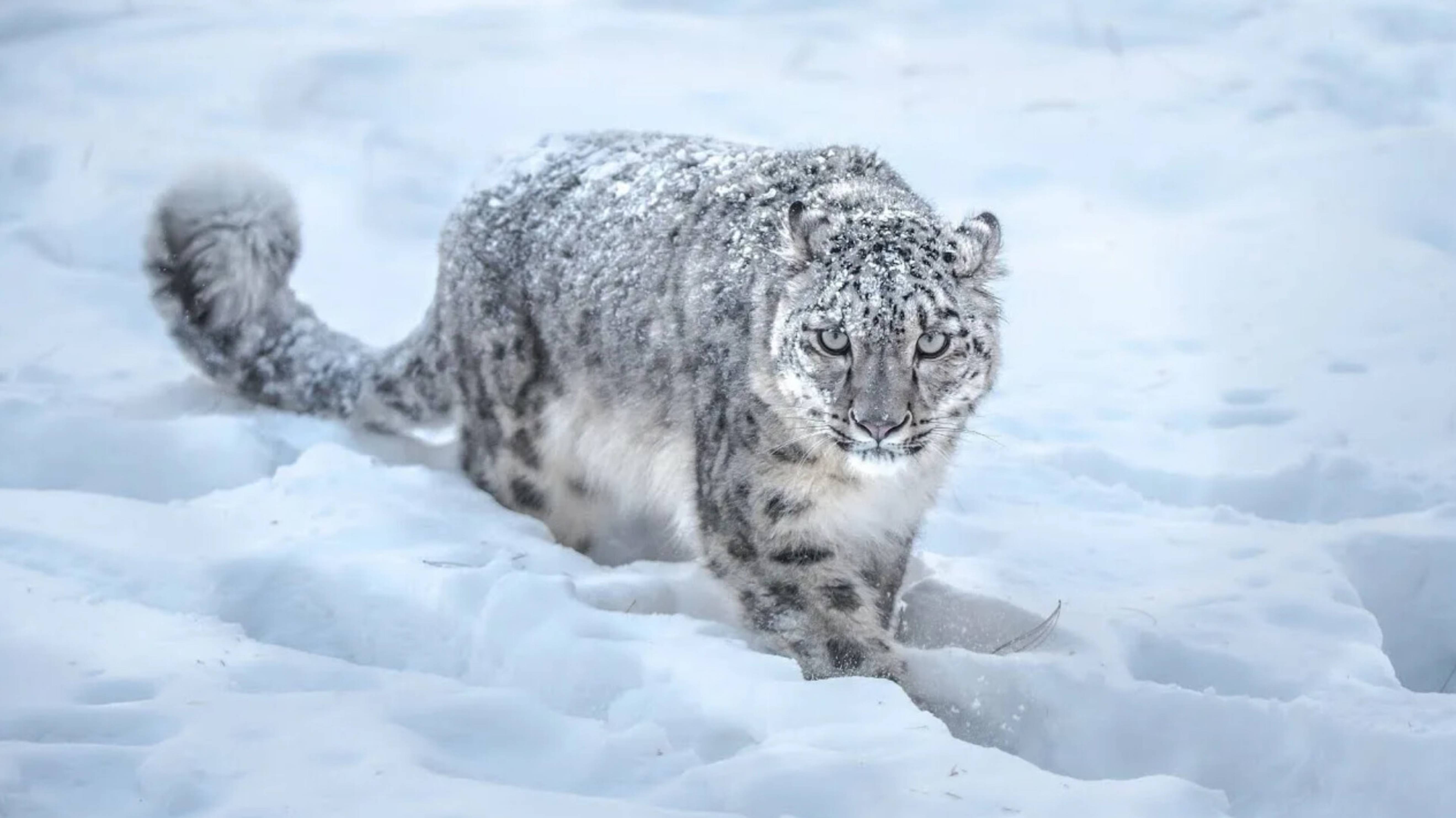 Московский зоопарк