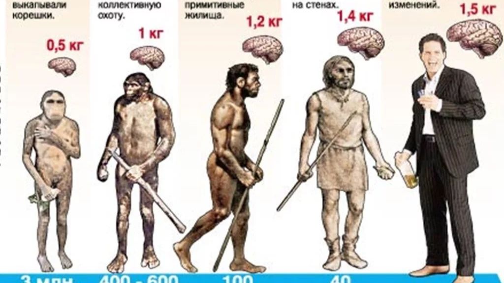 ИСТОРИЧЕСКИЕ ПРЕДПОЛОЖЕНИЯ