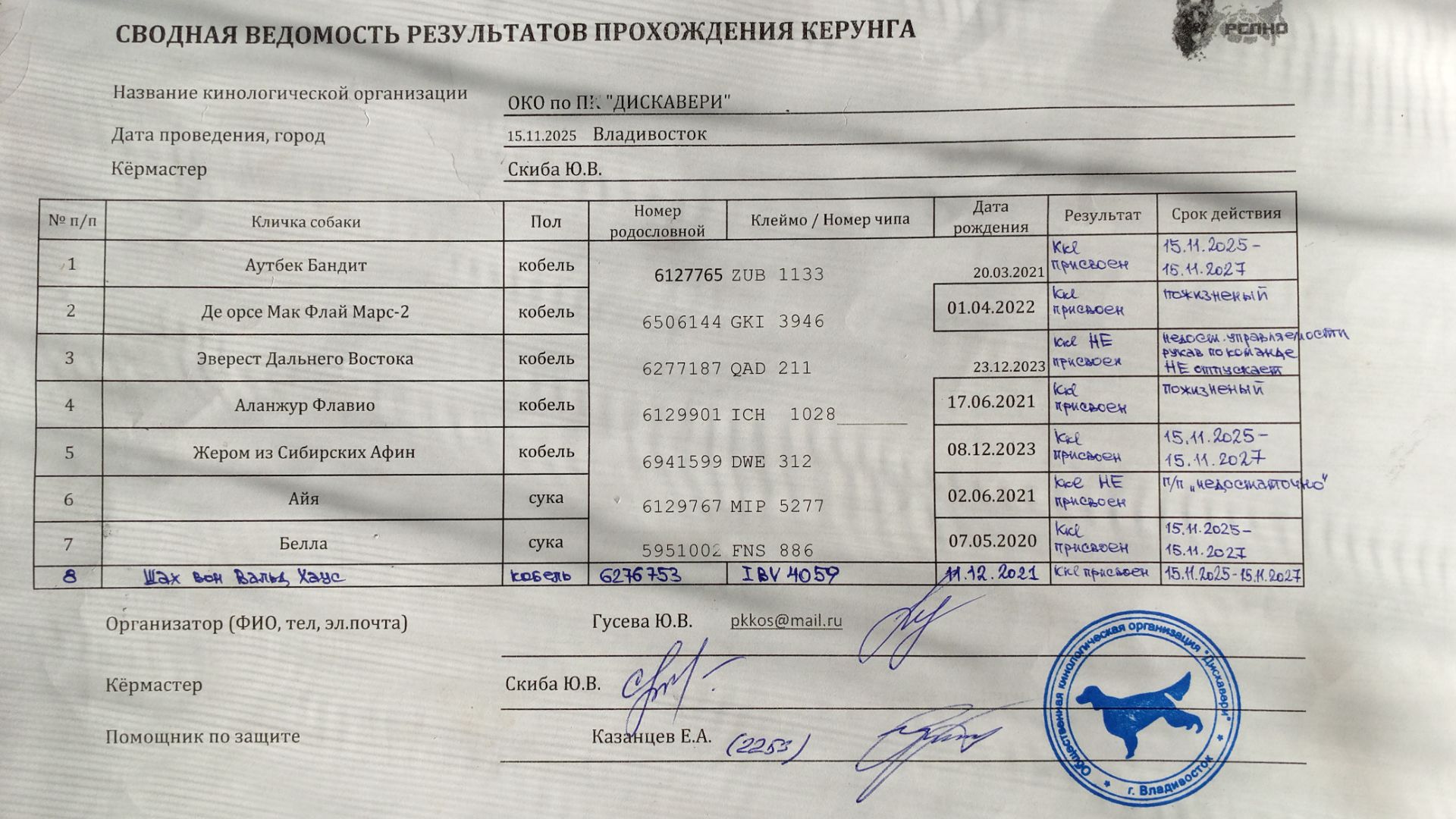 Кёрунг ВЛАДИВОСТОК 15 ноя`25 (Ю.Скиба) 8 собак