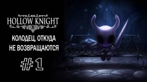 Hollow Knight