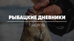 Shorts Рыбацкие дневники