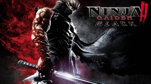 NINJA GAIDEN 2 Black