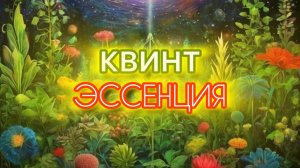 Проект КвинтЭССЕНЦИЯ