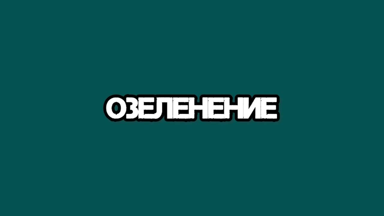 Озеленение участка