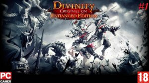 Divinity: Original Sin - Enhanced Edition (PC) - Прохождение игр. (2015)(без комментариев)