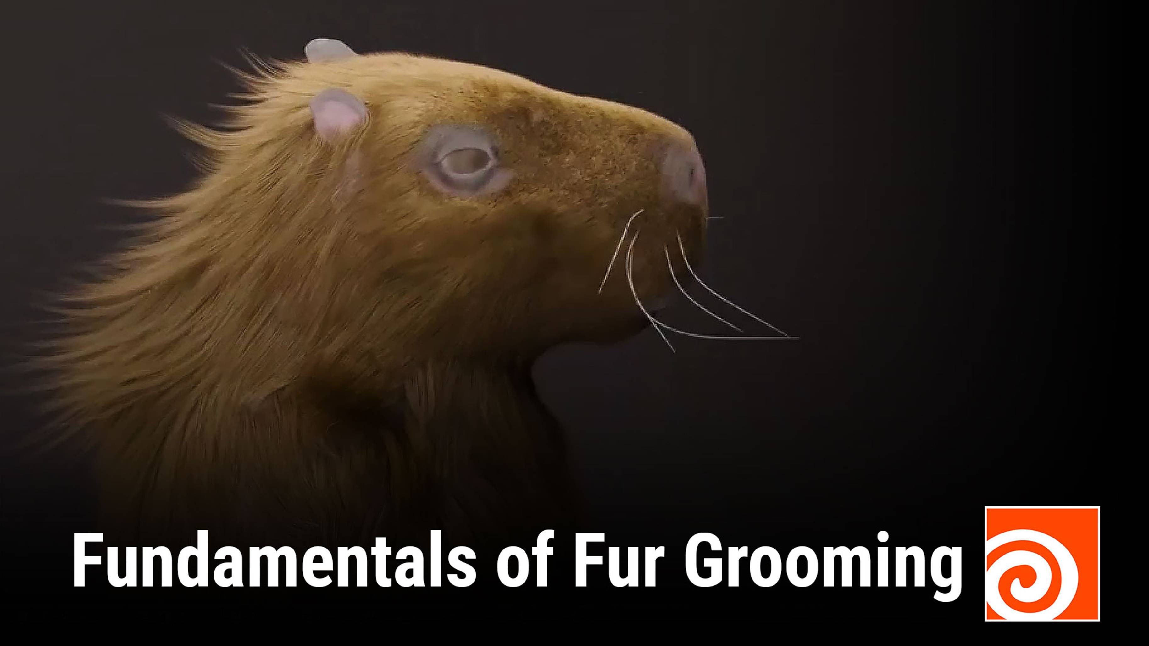 Fundamentals of Fur Grooming in Houdini