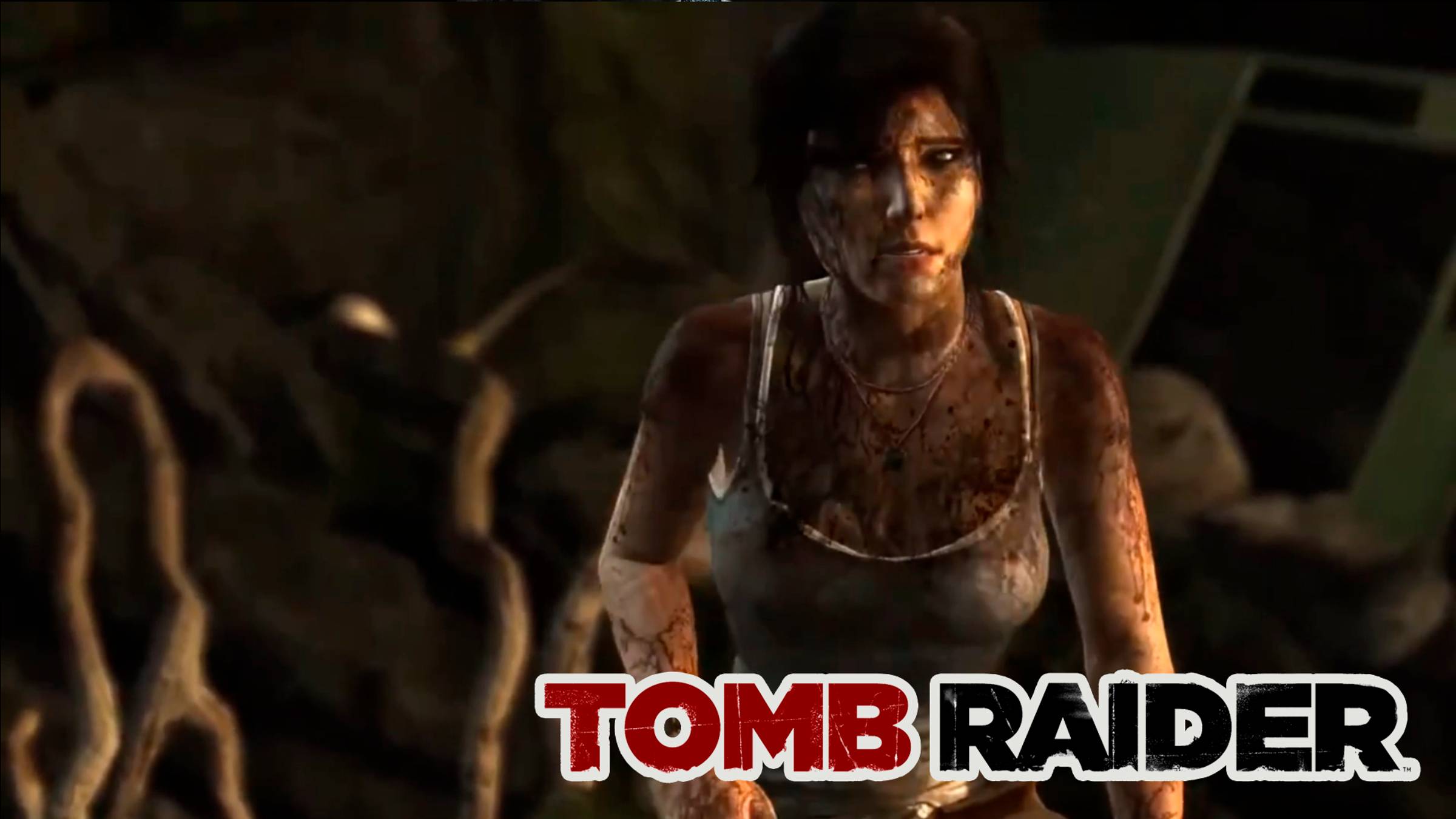 Tomb Raider 2013