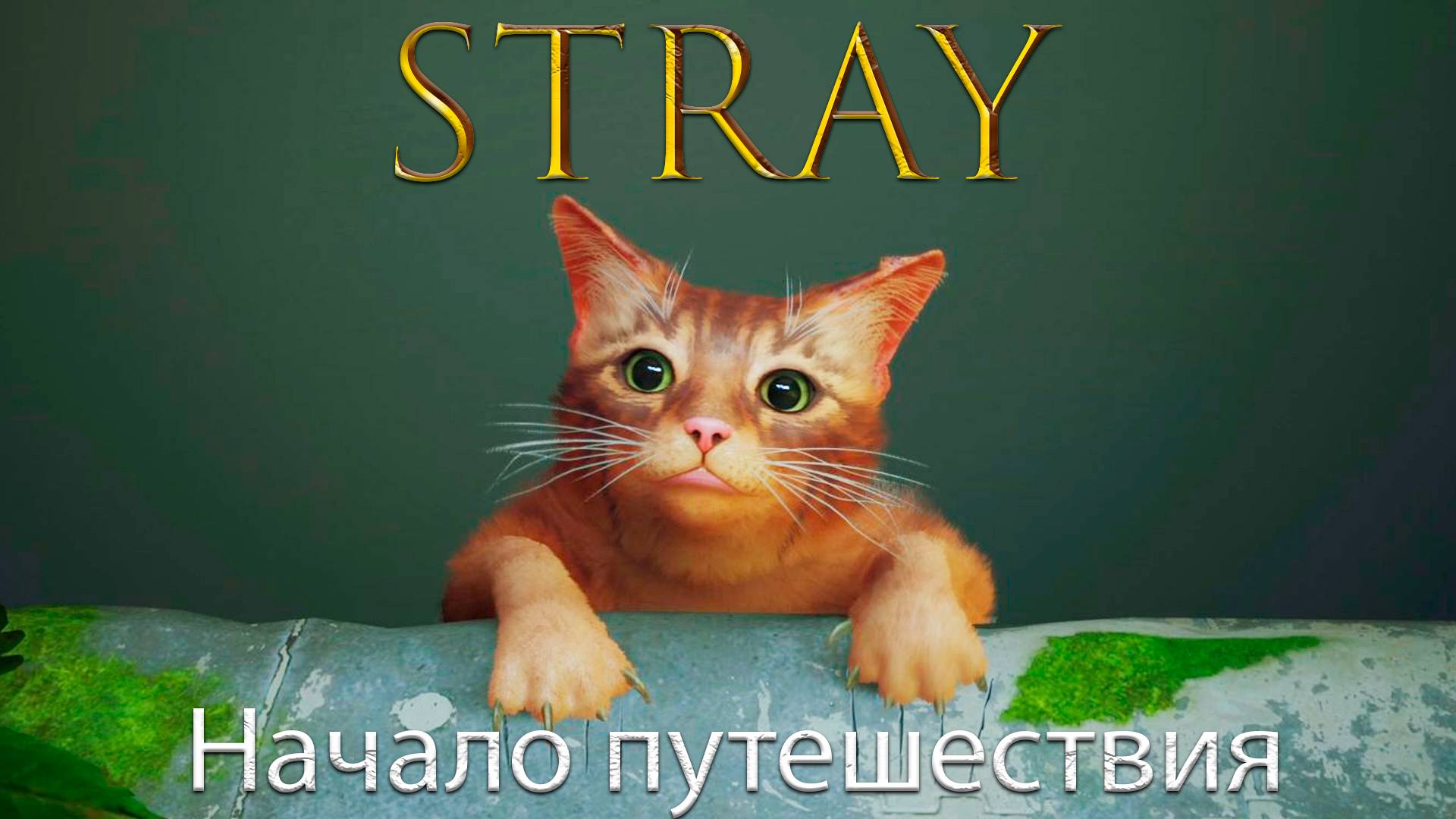 Stray/Бездомный - Прохождение игры