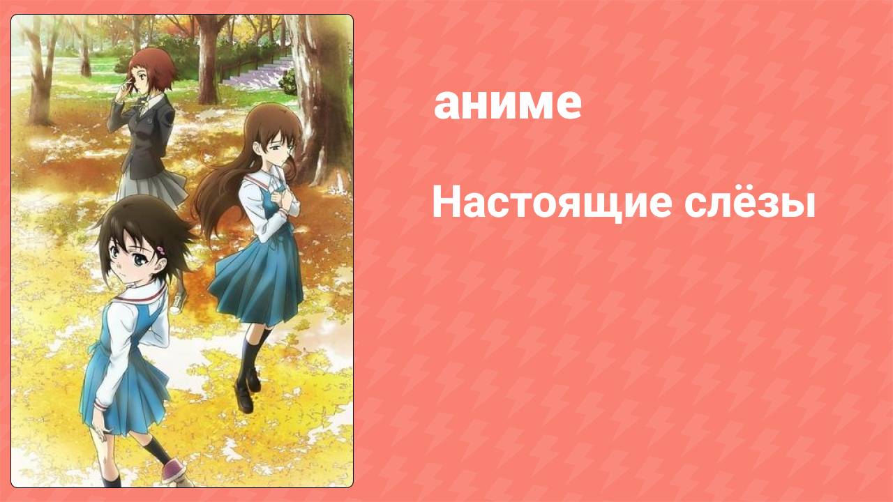 Настоящие слёзы (аниме-сериал, 2008)