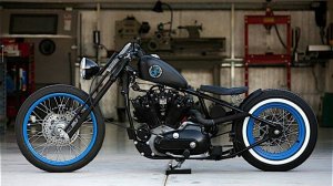 Custom Bike