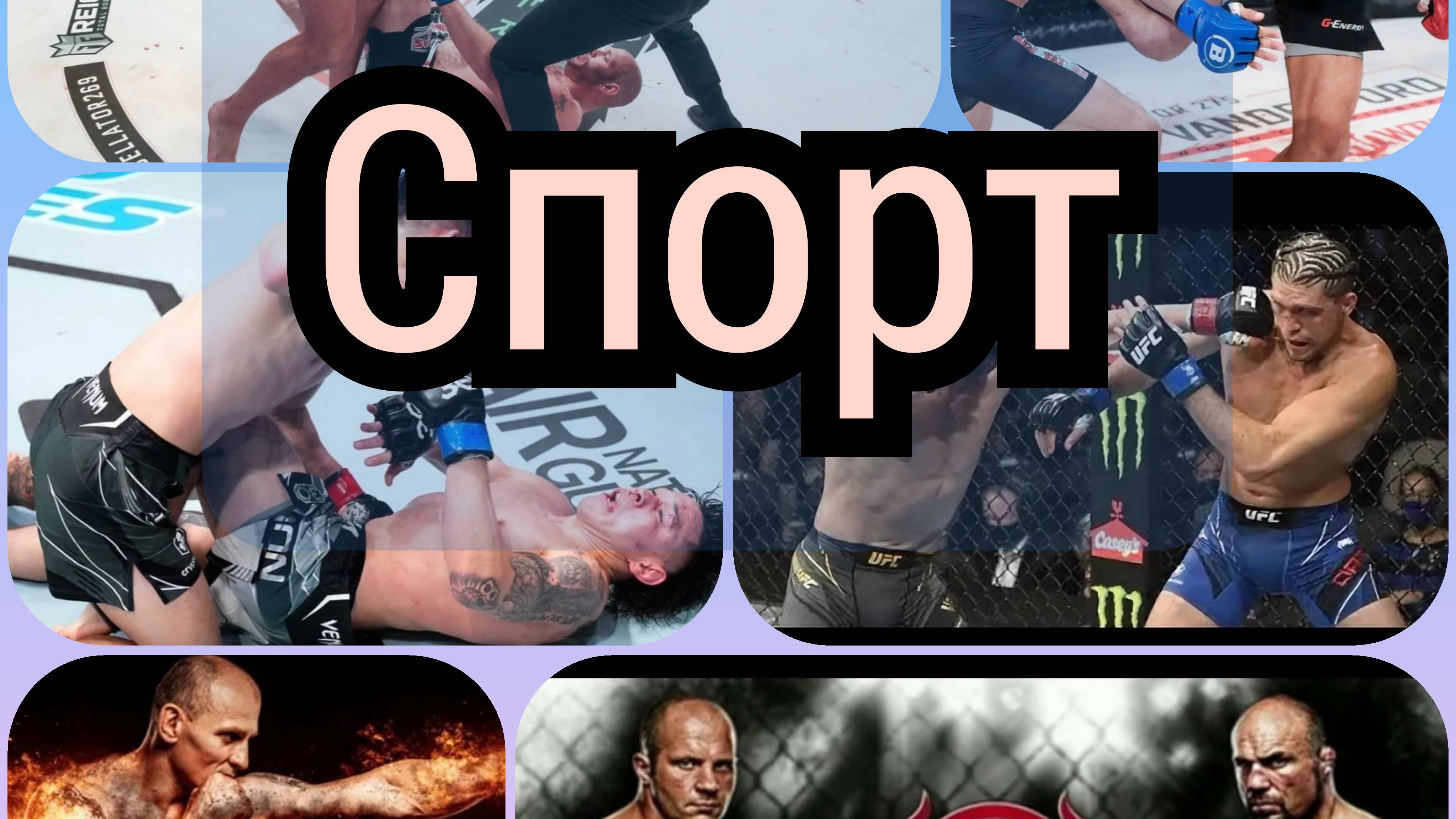 Бои ММА UFC