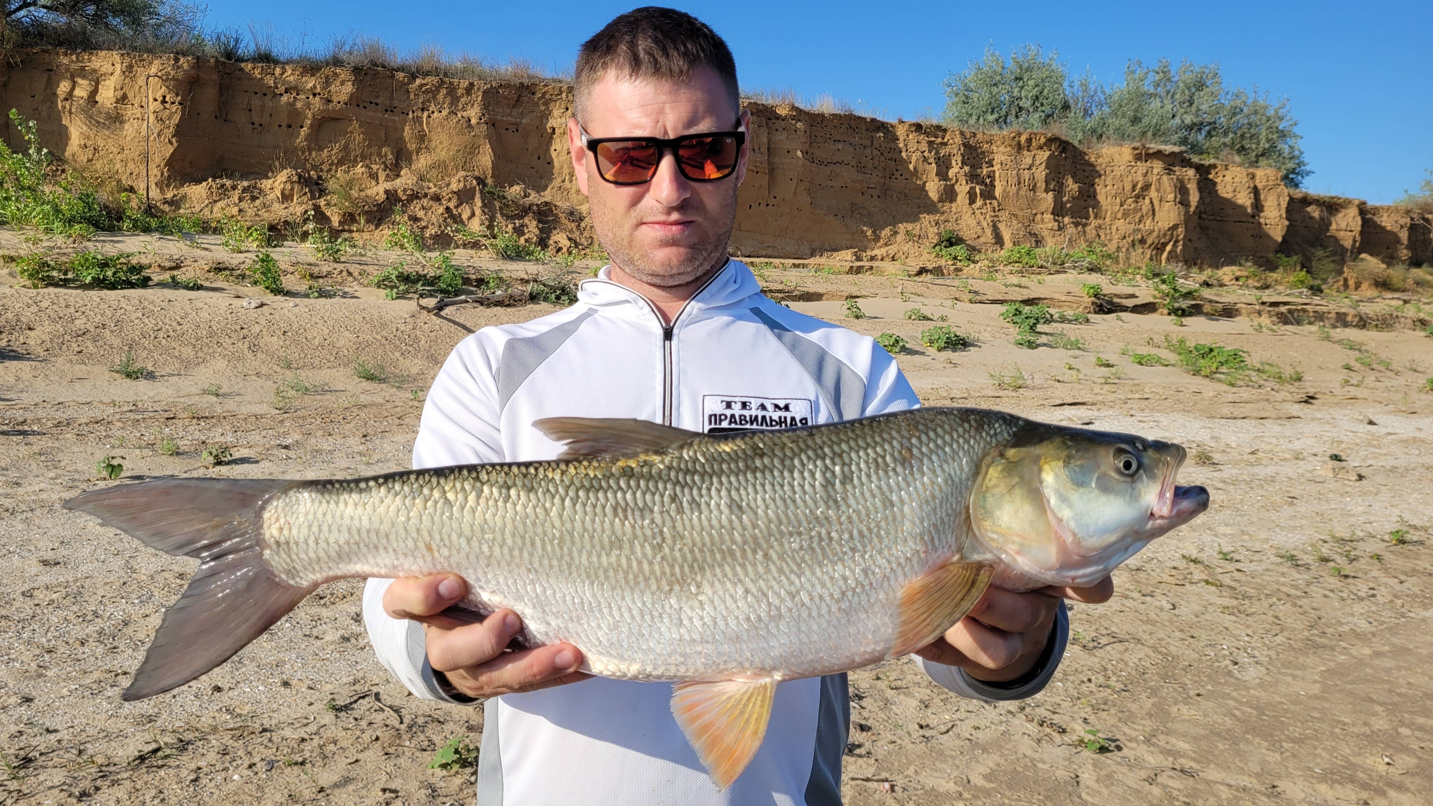 Рыбалка в Астрахани.