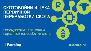 Пробный забой КРС. Цех для убоя КРС и МРС. Скотобойня на 10 голов КРС. Бойня от 30 голов овец (МРС)