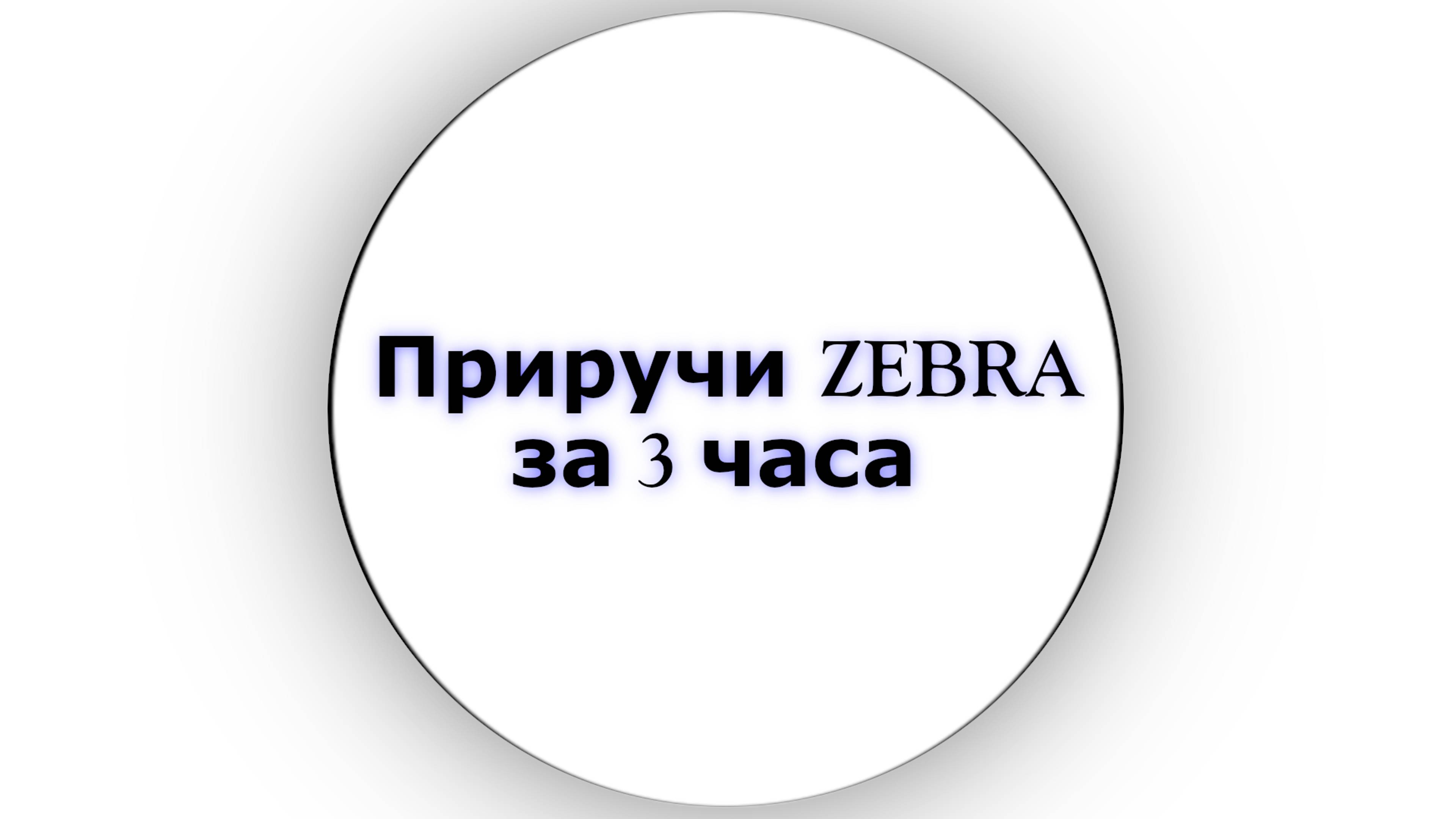 Приручи Zebra за 3 часа