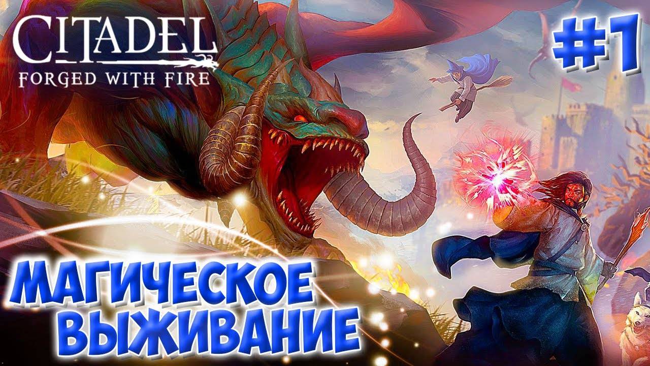 Citadel: Forged with Fire